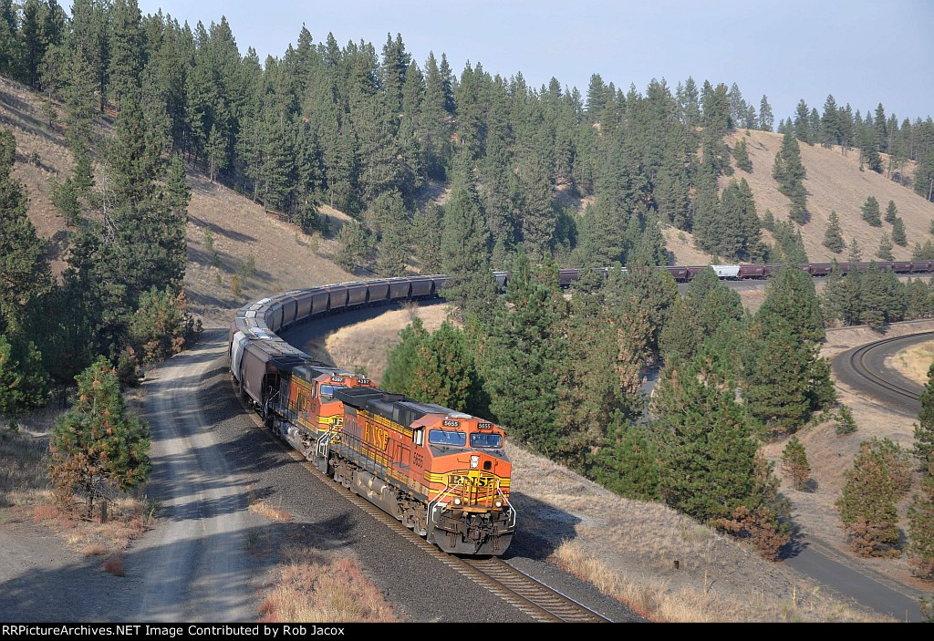 BNSF 5655